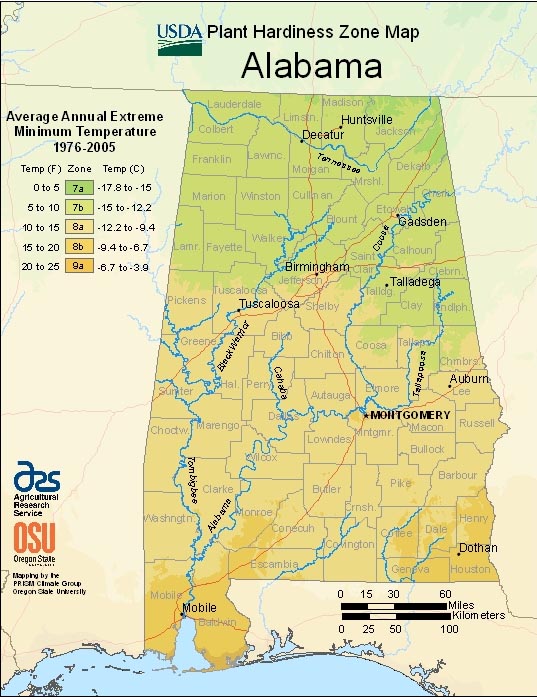 What Zone Is Alabama For Flowers at Isaac Perdriau blog